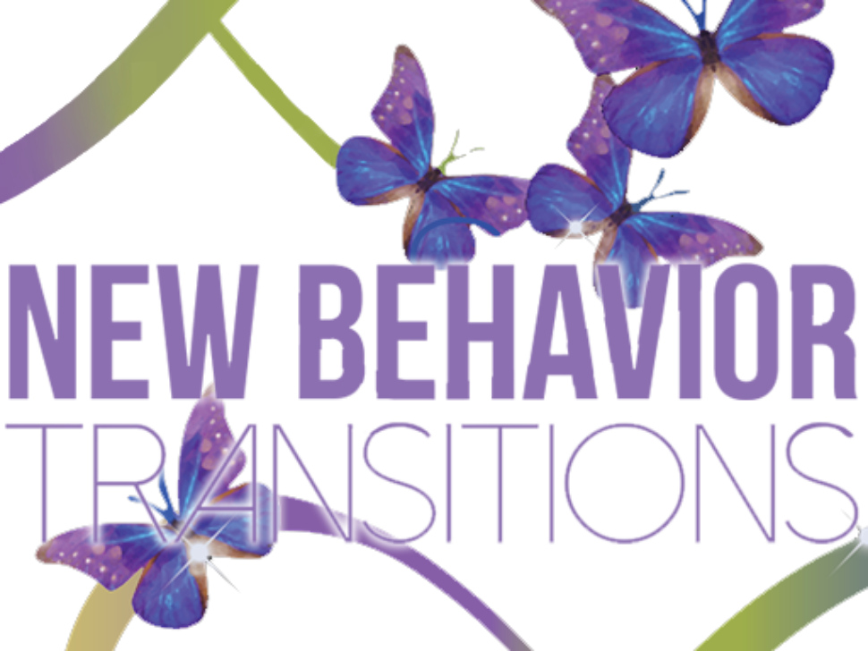 New Behavior Transitions